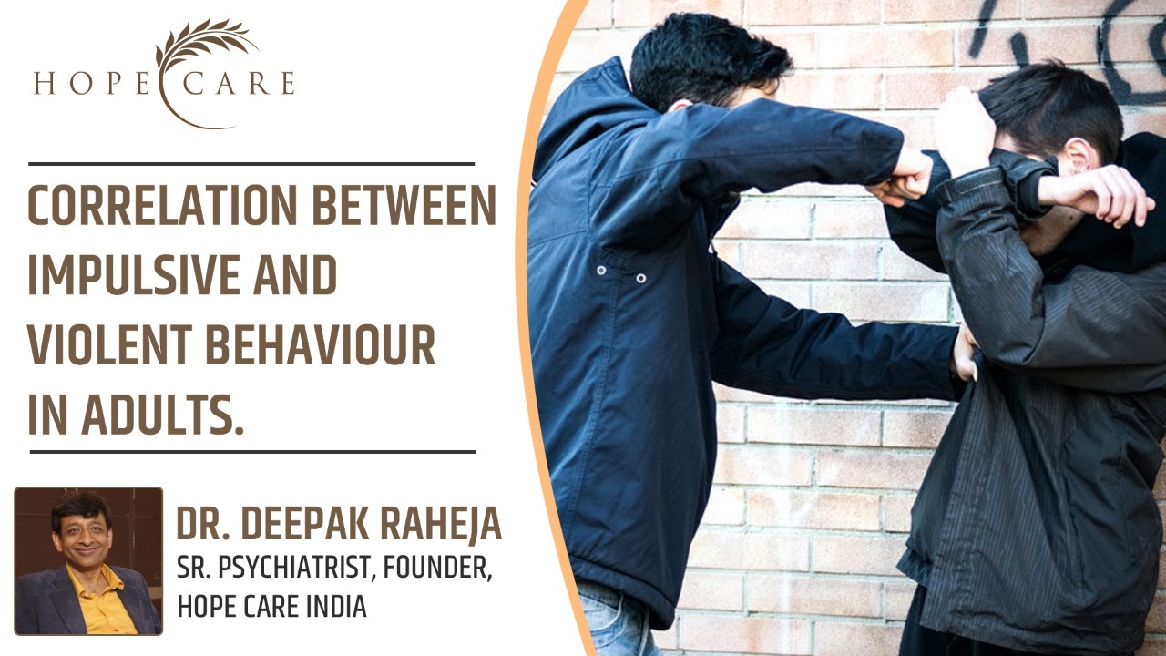 CORRELATIONS BETWEEN IMPULSIVE AND VIOLENT BEHAVIOUR IN ADULTS